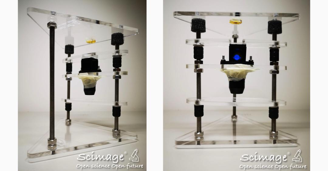 Advanced Epi-Fluorescence Module: For Makers Assembling and Observing ...